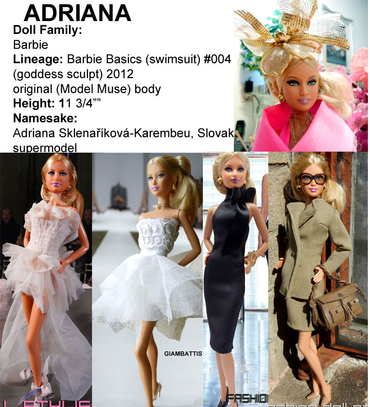 Fashion Doll Stylist: Meet the Models (New)