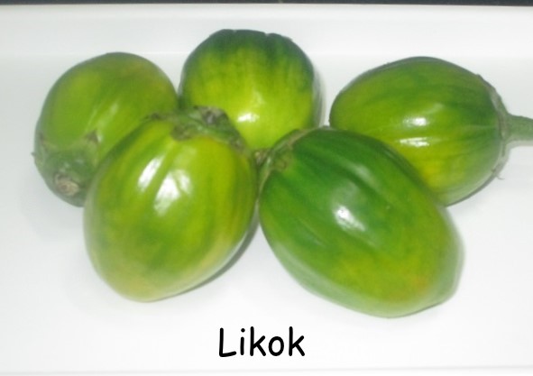 Shobha's Food Mazaa: LIKOK CURRY / BITTER AUBERGINE CURRY / BITTER ...