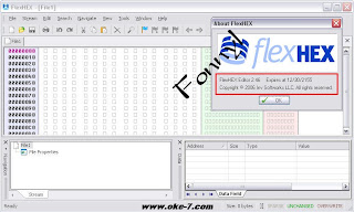 oke-7: FlexHex Editor 2.46 Full [PORTABLE]