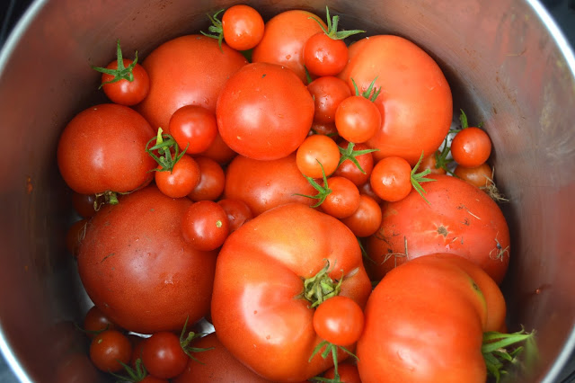 Homemade Tomato Sauce | The Nutritionist Reviews