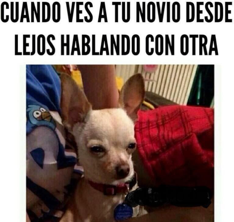 julio 2014 - Los Mejores Memes Para Compartir