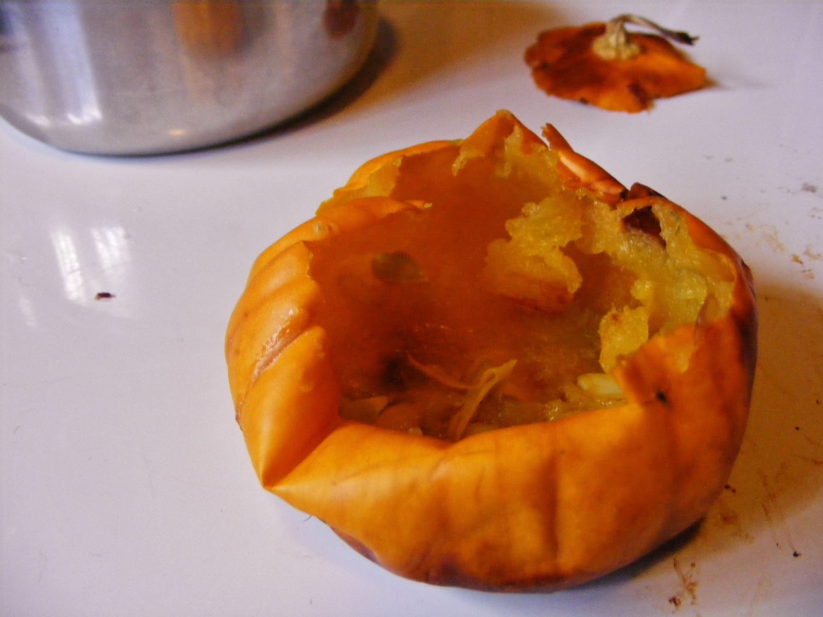 Life From Scratch: Feeding Parrots Seasonally: Autumn