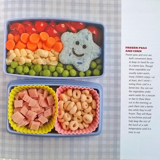 REVIEW: Everyday Bento- 50 Cute and Yummy Lunches to Go by Wendy Thorpe ...