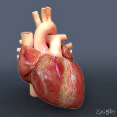 TASLY WORLD: TASLY WORLD PHARMACEUTICAL INT'L