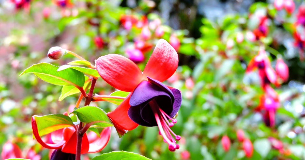 Ian Wardell: Philosophical Thoughts: A very brief introduction to ...