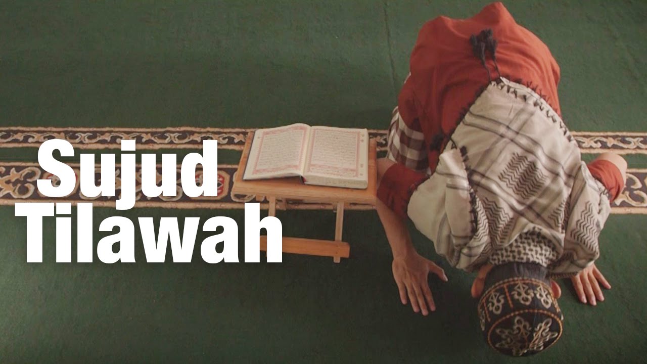 Bacaan Sujud Tilawah, Pengertian, Latin, Tata Cara Sujud Tilawah Dalam ...