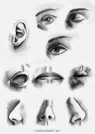 Magh Ene College - Art Gallery: Drawing facial features.....
