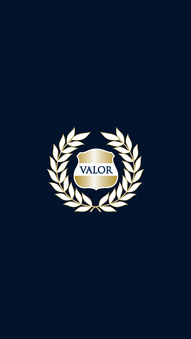 VALOR's Officer Safety App, Stay Safe and Mobile - National Law ...