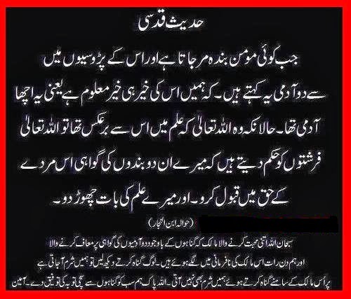 TOP AMAIZING ISLAMIC DESKTOP WALLPAPERS: January 2014