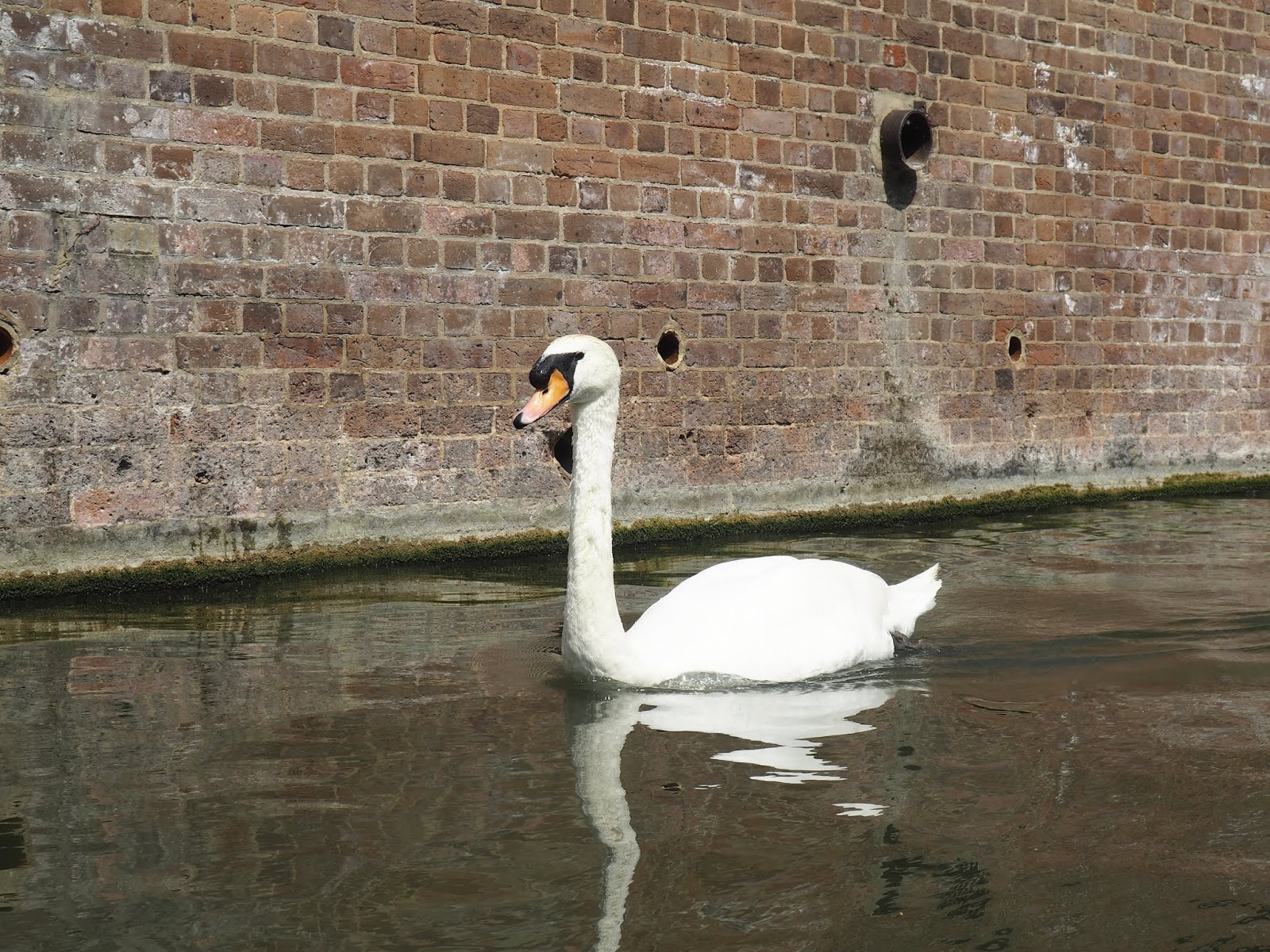 Cambridge - Hotspot for Tourist ~ Ee Sing's Traventures