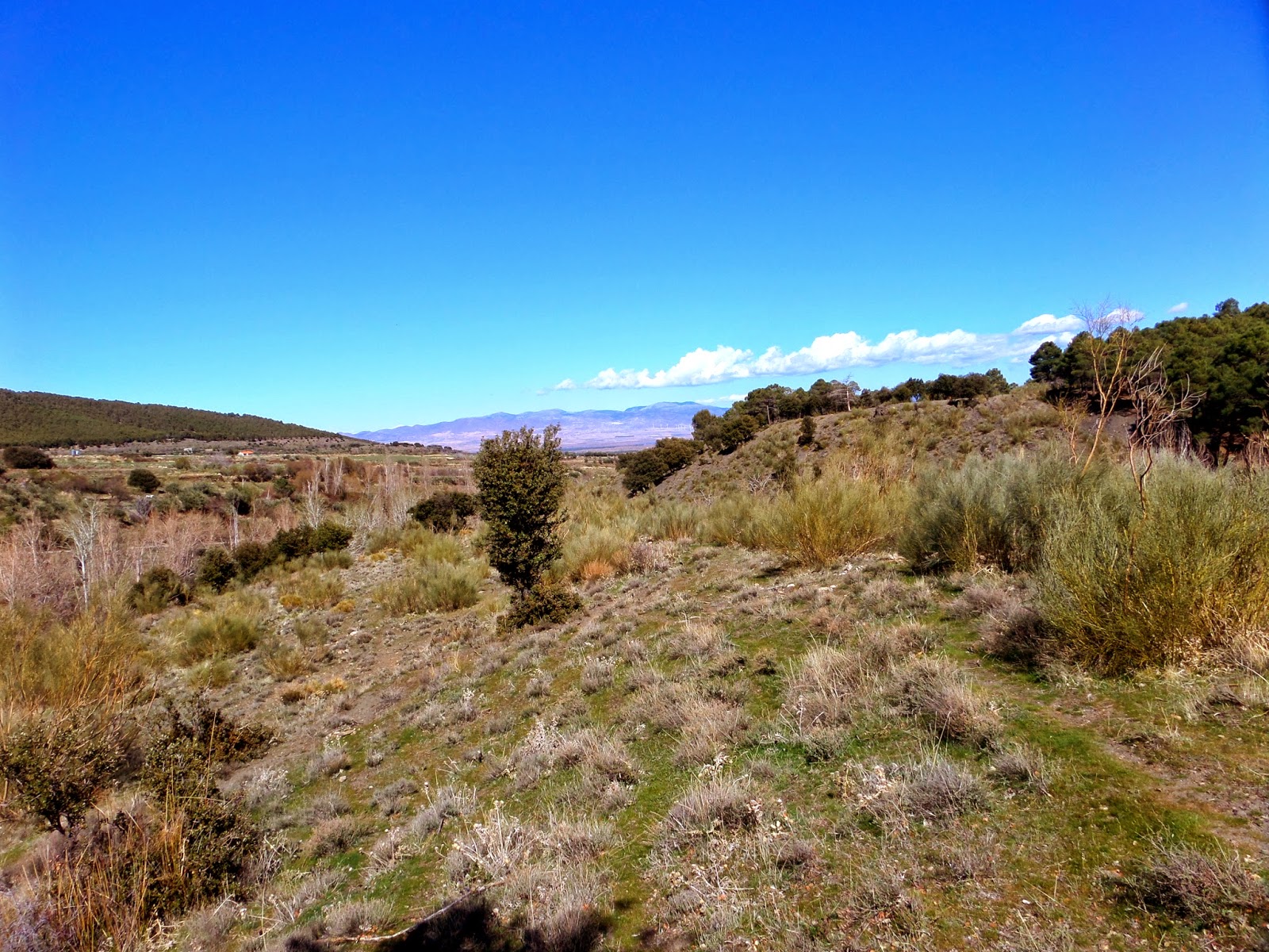 Fotografiando Cumbres: Salida: La lobosa