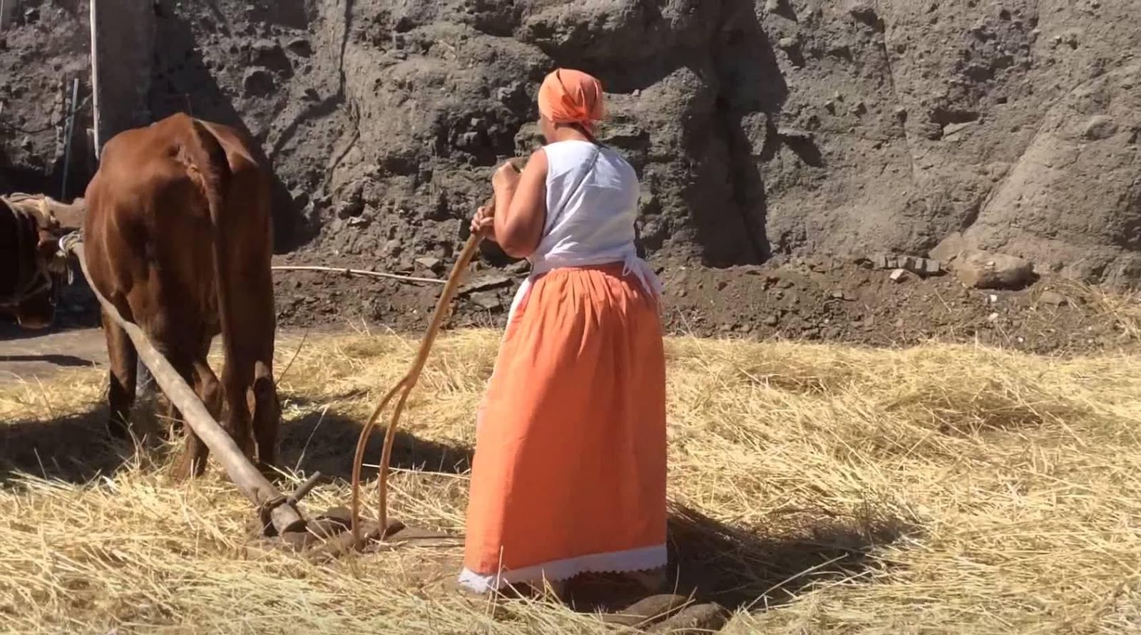 El Bernegal: LAS ERAS DE TRILLAR