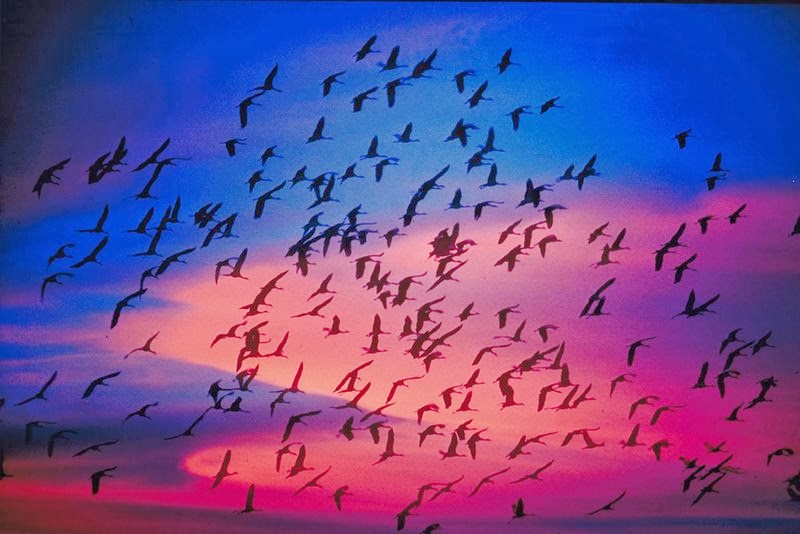 The Story Of Creation ♥ The Day Allah Created Man ♥ - Islam know