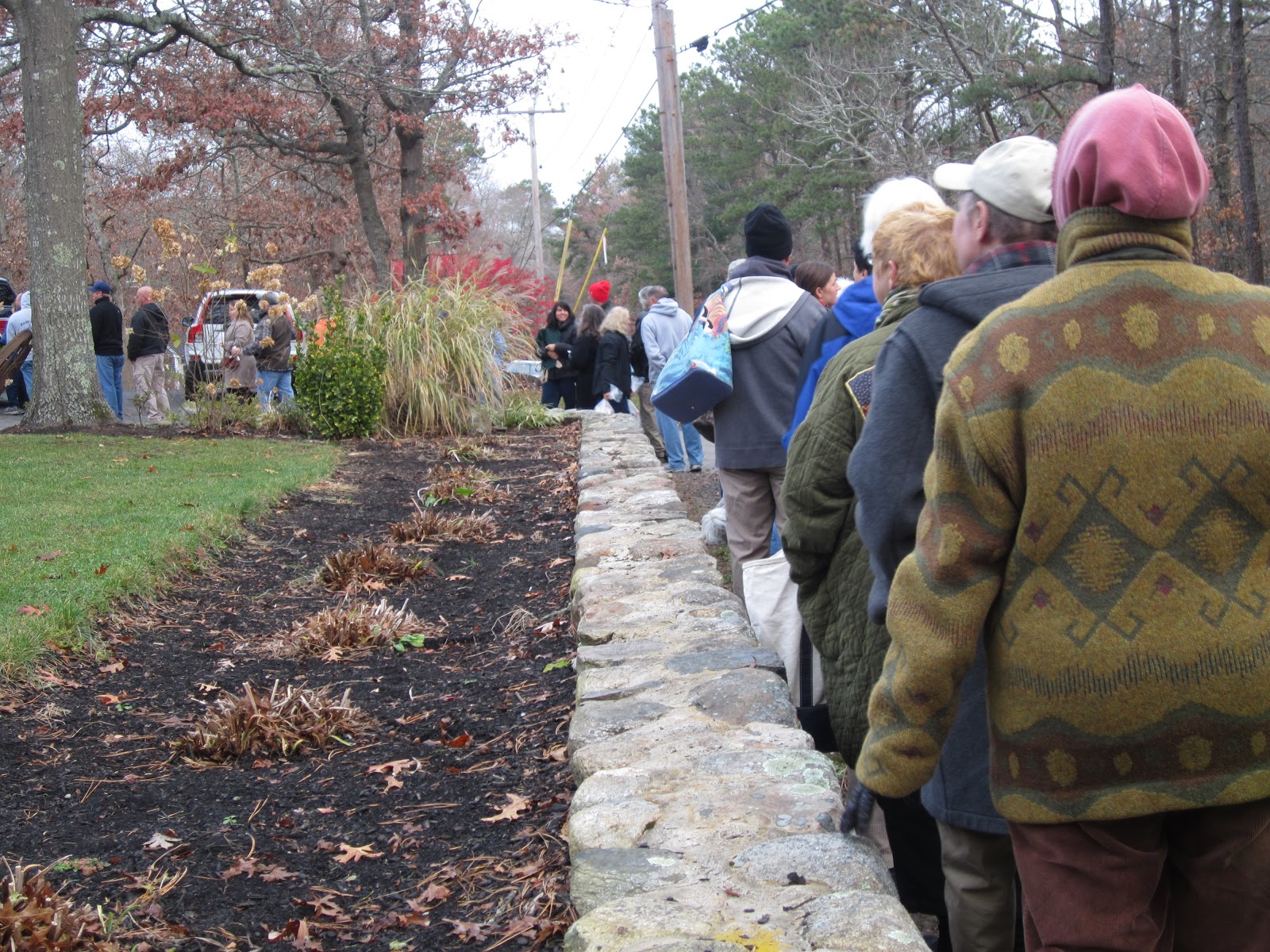 Jamie Cat Callan: Bonjour, MonsieurTurkey!