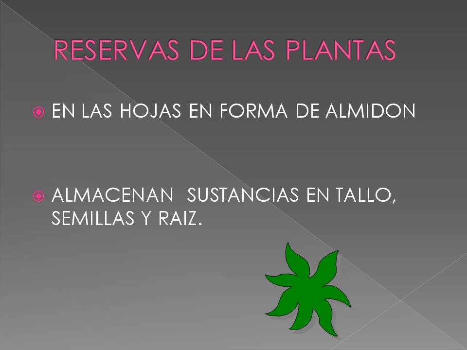 El Mundo de las Plantas: Diapositivas