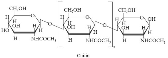 Chitin