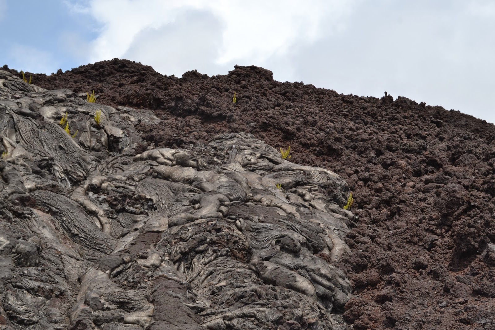 Family Travel Blog : Hawaii Daily Photo: 2 Different types of lava