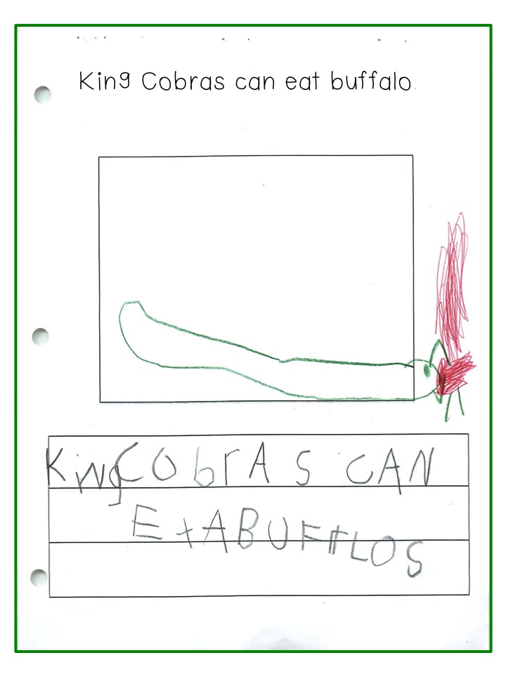 Joyful Learning In KC: Animal Research Writing