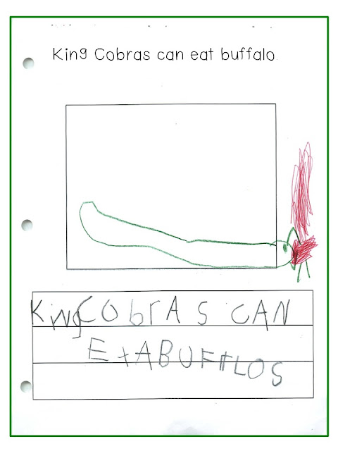 Joyful Learning In KC: Animal Research Writing