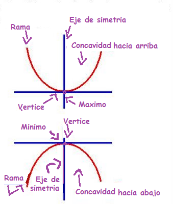 Estefania Vélez Math: Elementos de una párabola