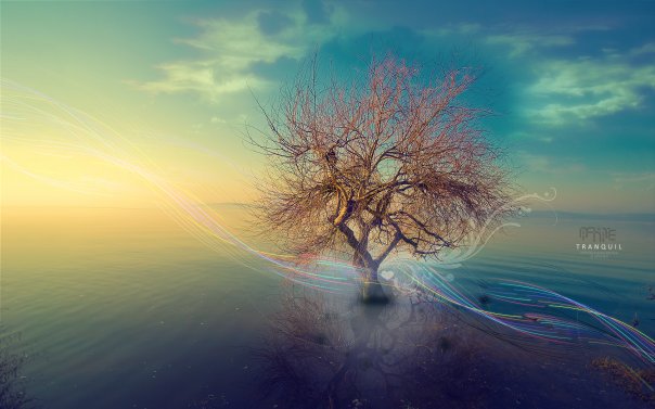 Mansur al Hallaj Quotes, Mansur al Hallaj Poetry, Mansur al Hallaj ...