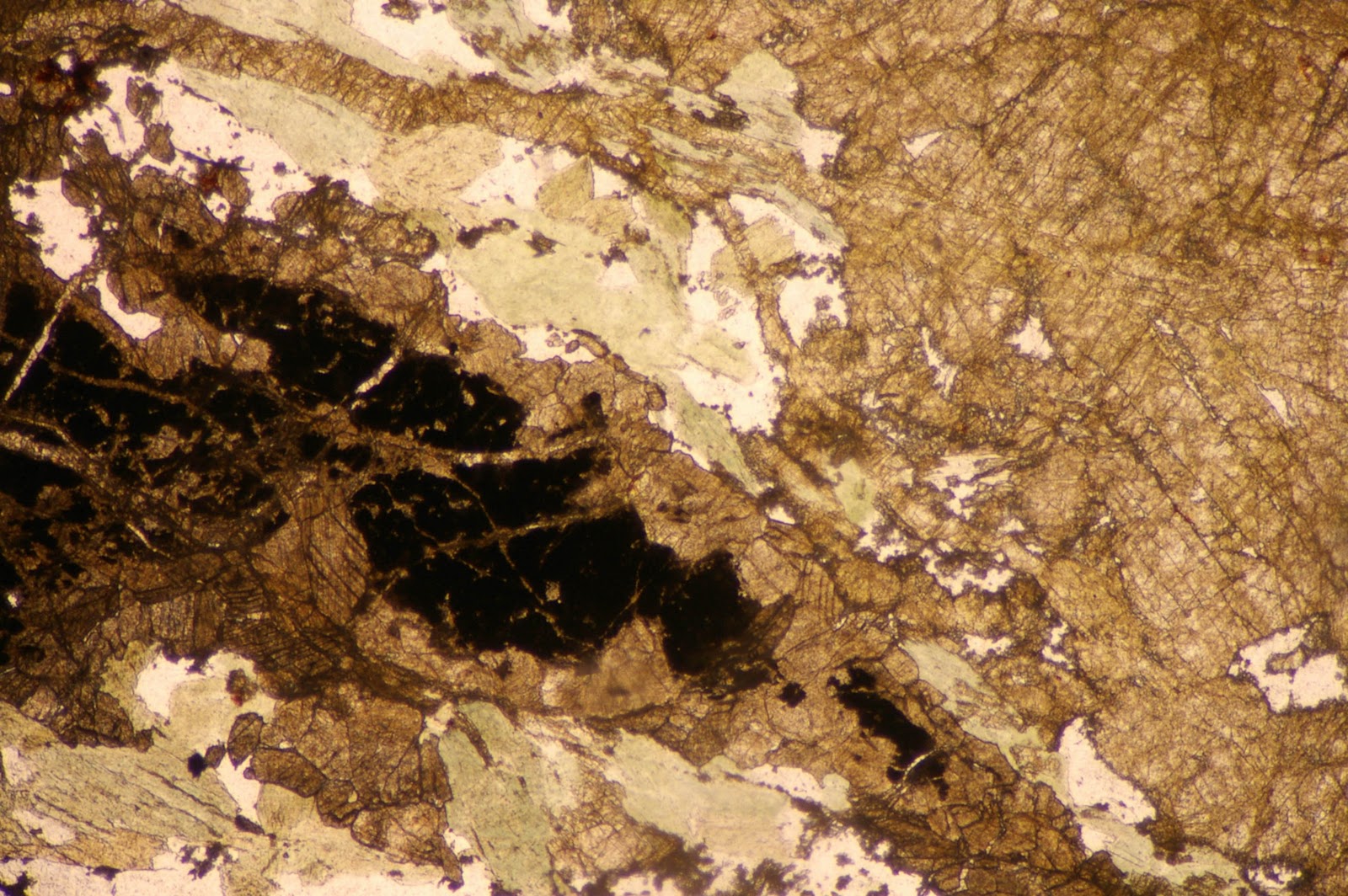 Metabasites: Epidote, pyrite, and titanite in greenschist.