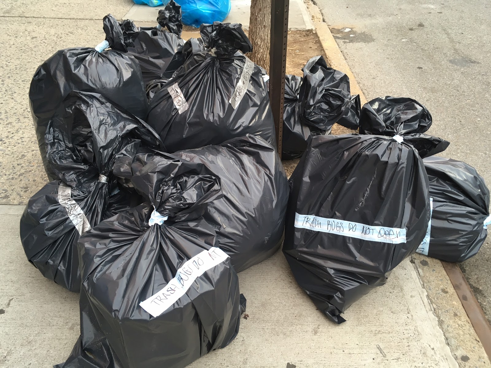 mcbrooklyn: Trash Bugs in Cobble Hill