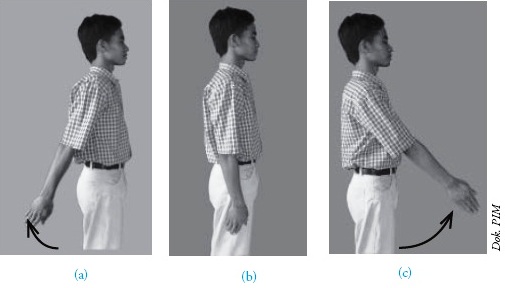 Gerakan Fleksi dan Ekstensi :susah punya keturunan
