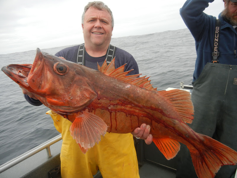 Todds Extreme Fishing: Neah Bay Lingcod and Rockfish APRIL 28 & 29