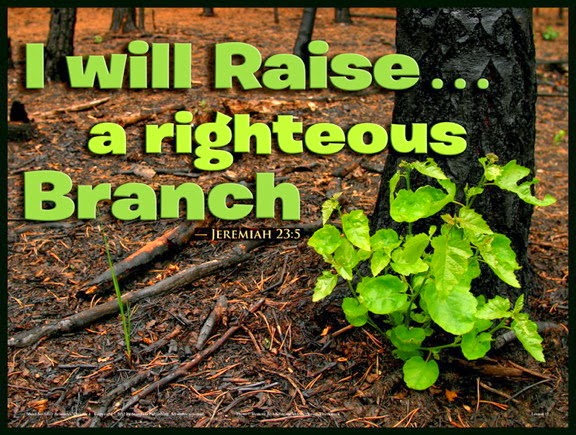 ABC PARISH: 11/17/13 - 11/24/13