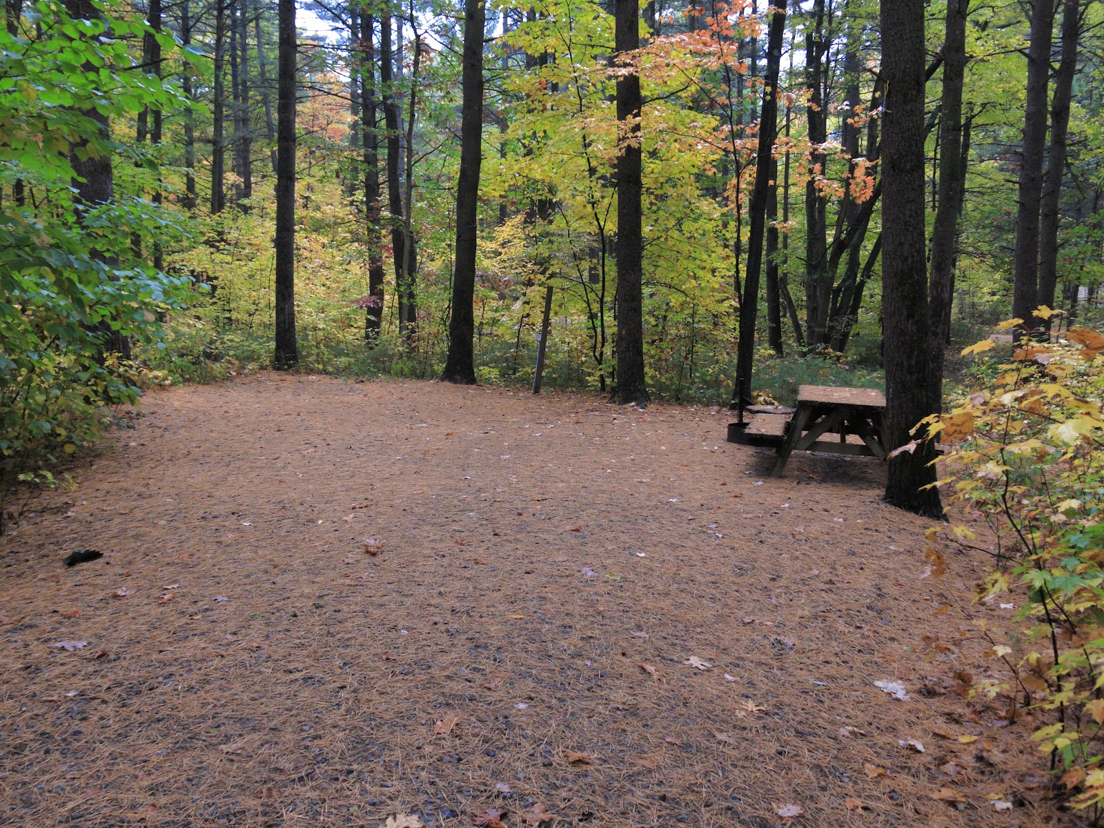 The Campsites: Oka National Park, site 136