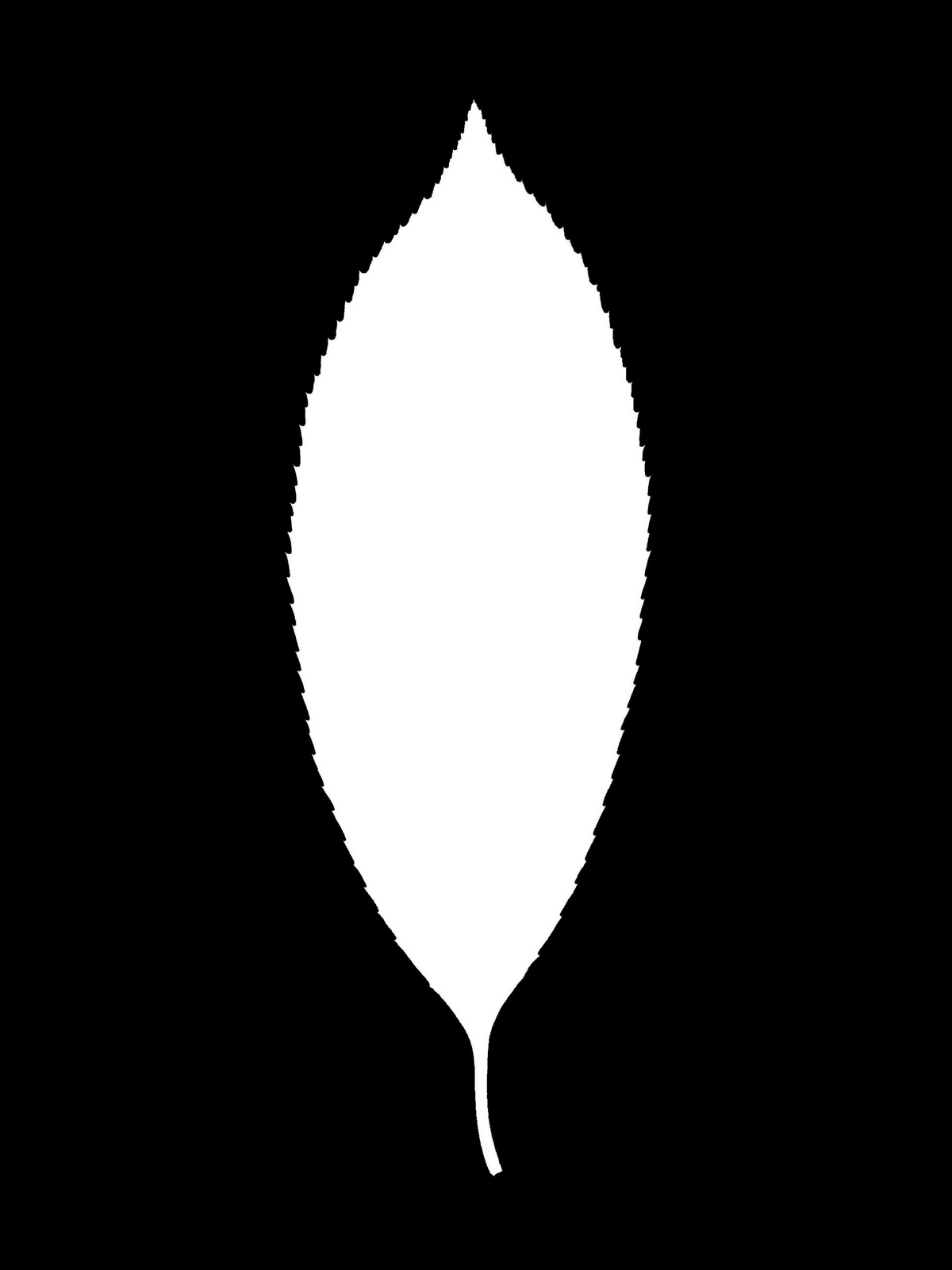 HIGH RESOLUTION TEXTURES: Leaf Textures