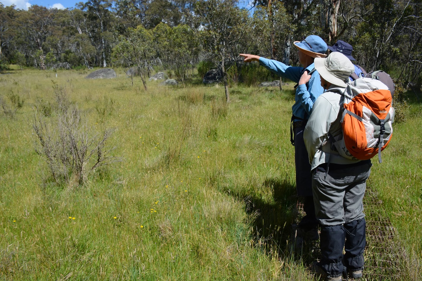 walkabouters club of victoria inc: Waterfall Track