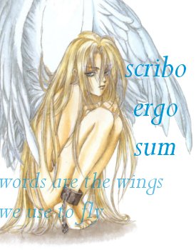 Scribo Ergo Sum - I Write, Therefore I Am