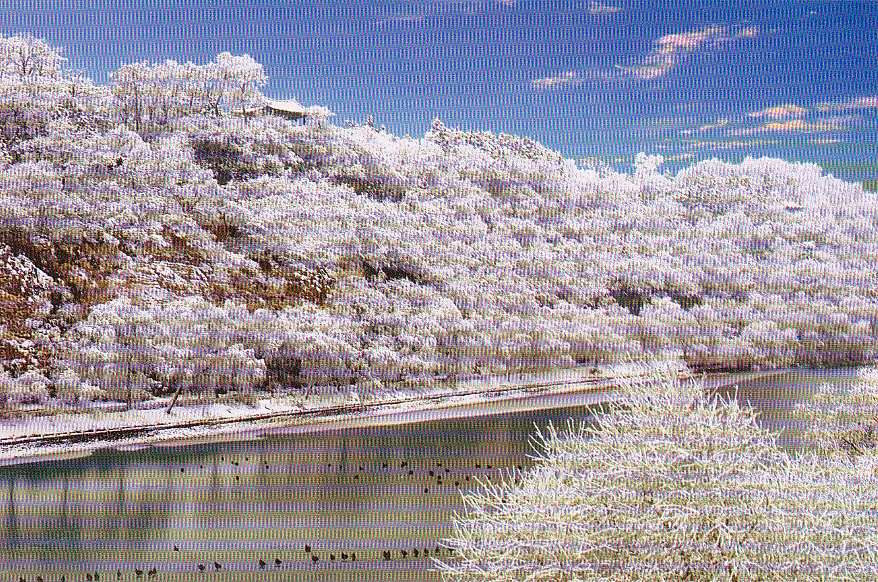 Postcard A La Carte: North Korea - Winter