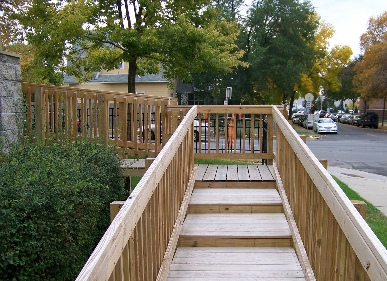 Tree Trust News and Stories: Ramps