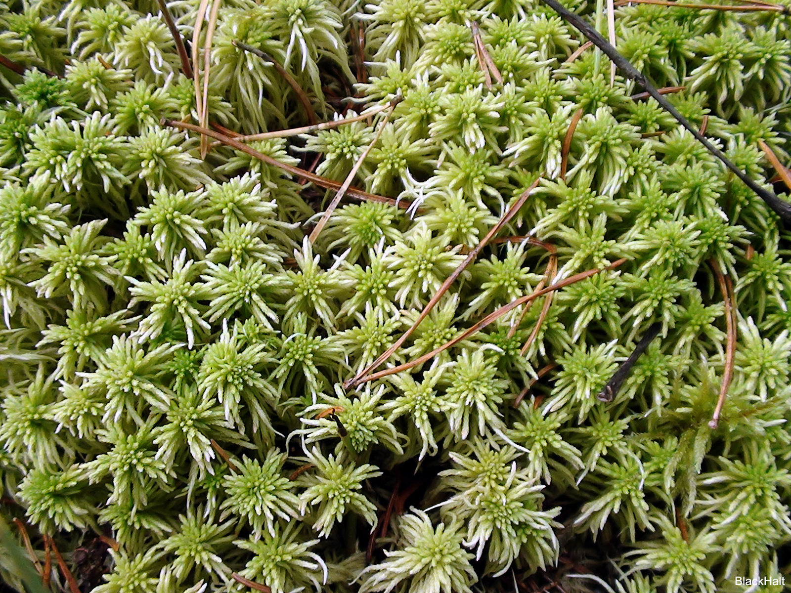 Rudens #1 - PhotoBlogSite