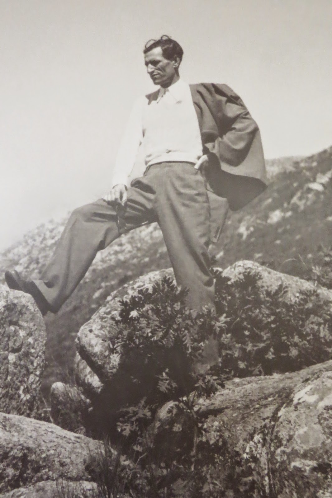 Olhai os lírios do campo: Aniversário - Um poema de Miguel Torga