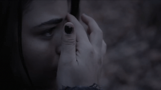 CINE PARA TODOS LOS GUSTOS: PYEWACKET-2017-HORROR-Sinopsis-Trailer-Imágenes