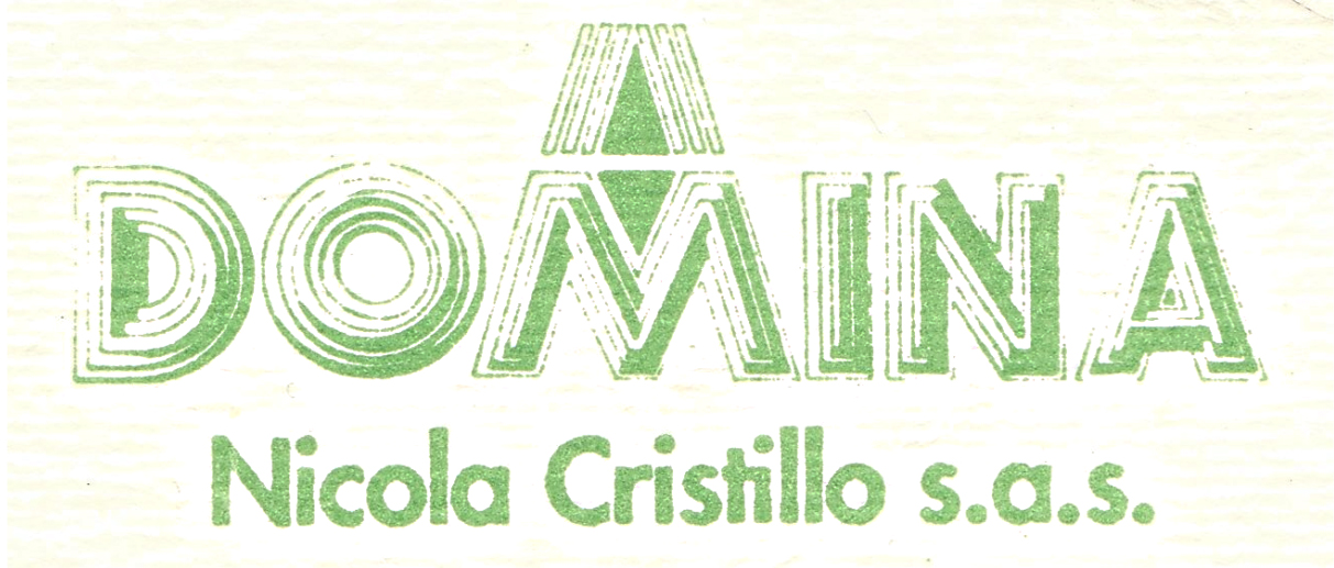 Insieme verso il successo: Domina | IchnosMarketing