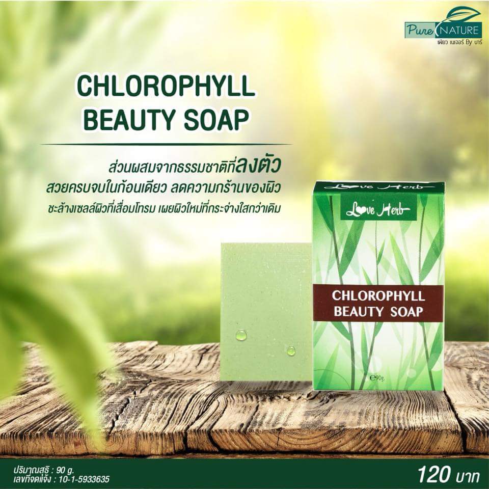 Pure Nature Chlorophyll Beauty Soap - Pure Nature Shopping