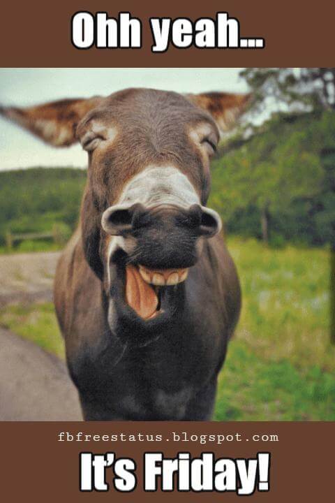 Yeah Baby Its Friday