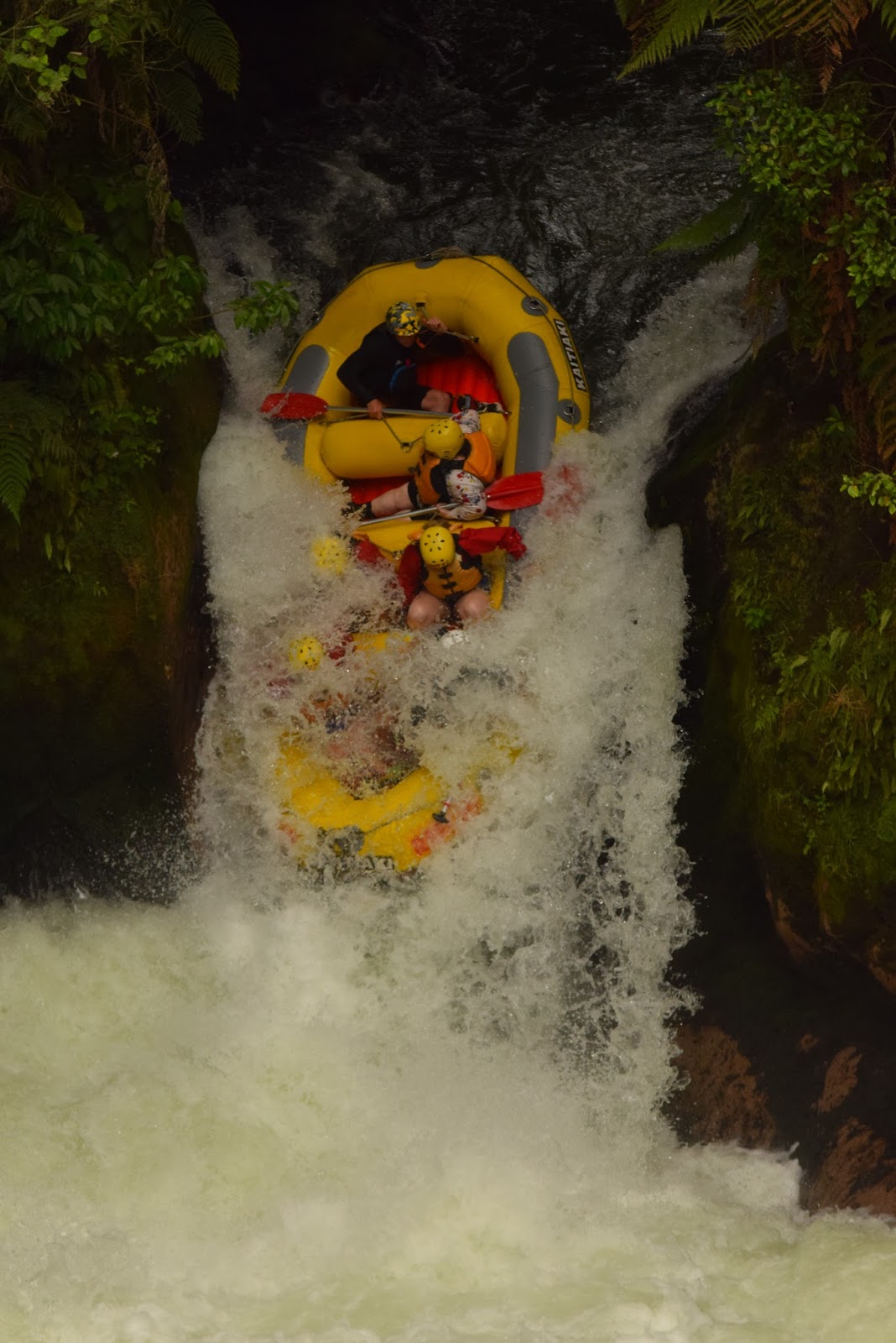 Nomadic Joe: Rafting and a Maori Homestay