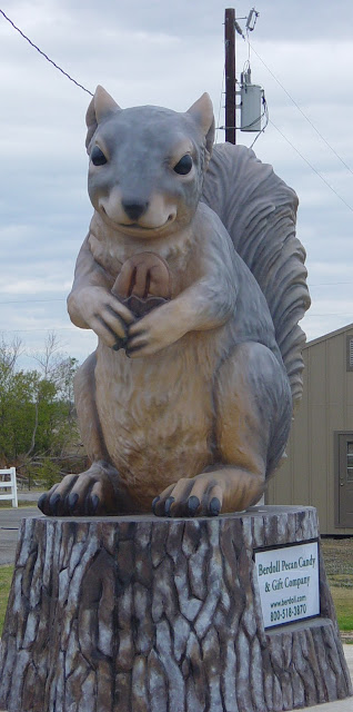 Garden Ally: Giant Squirrel Finds a Home