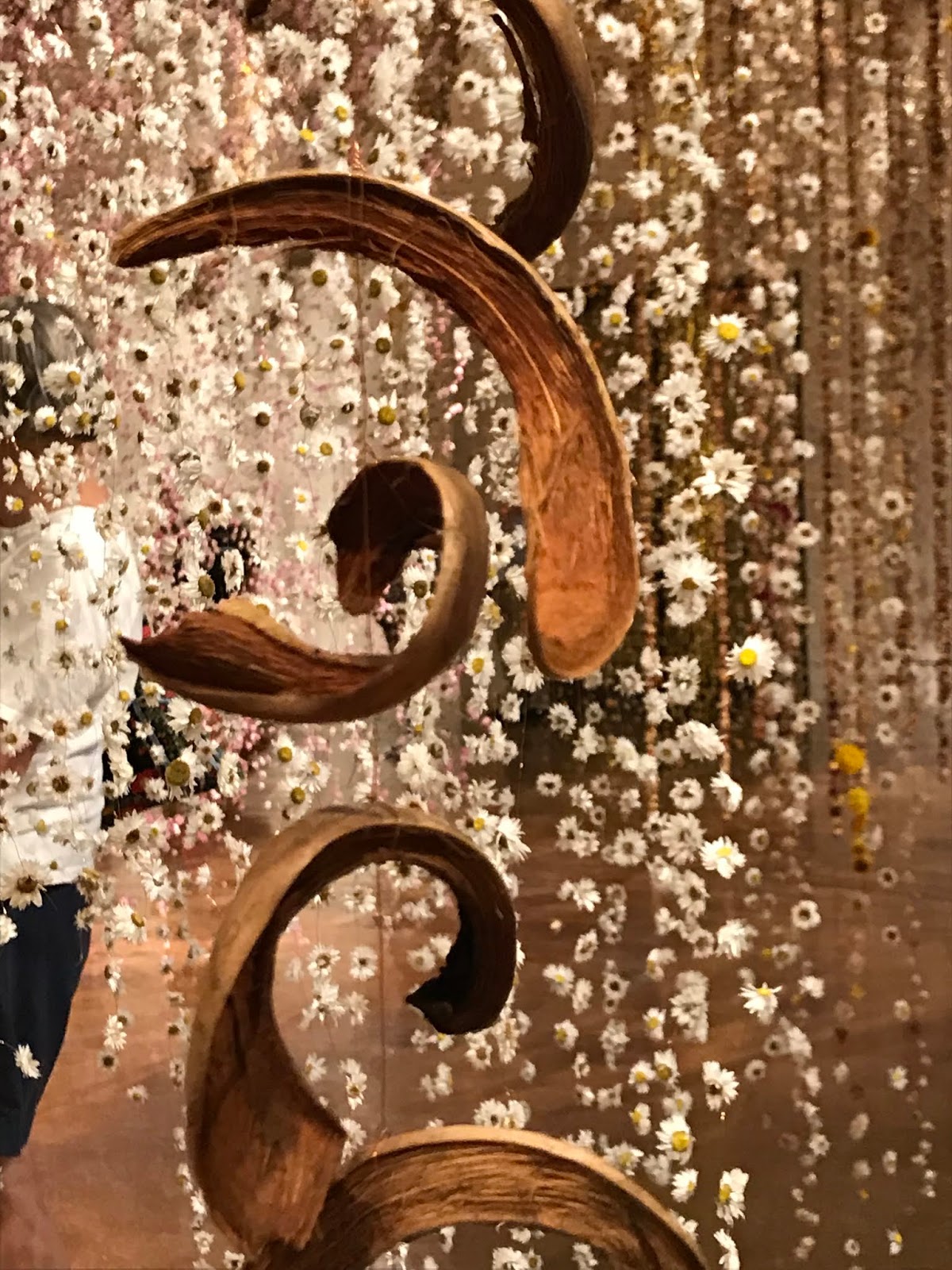 Jeanne Rhea: Changes and Moving Forward