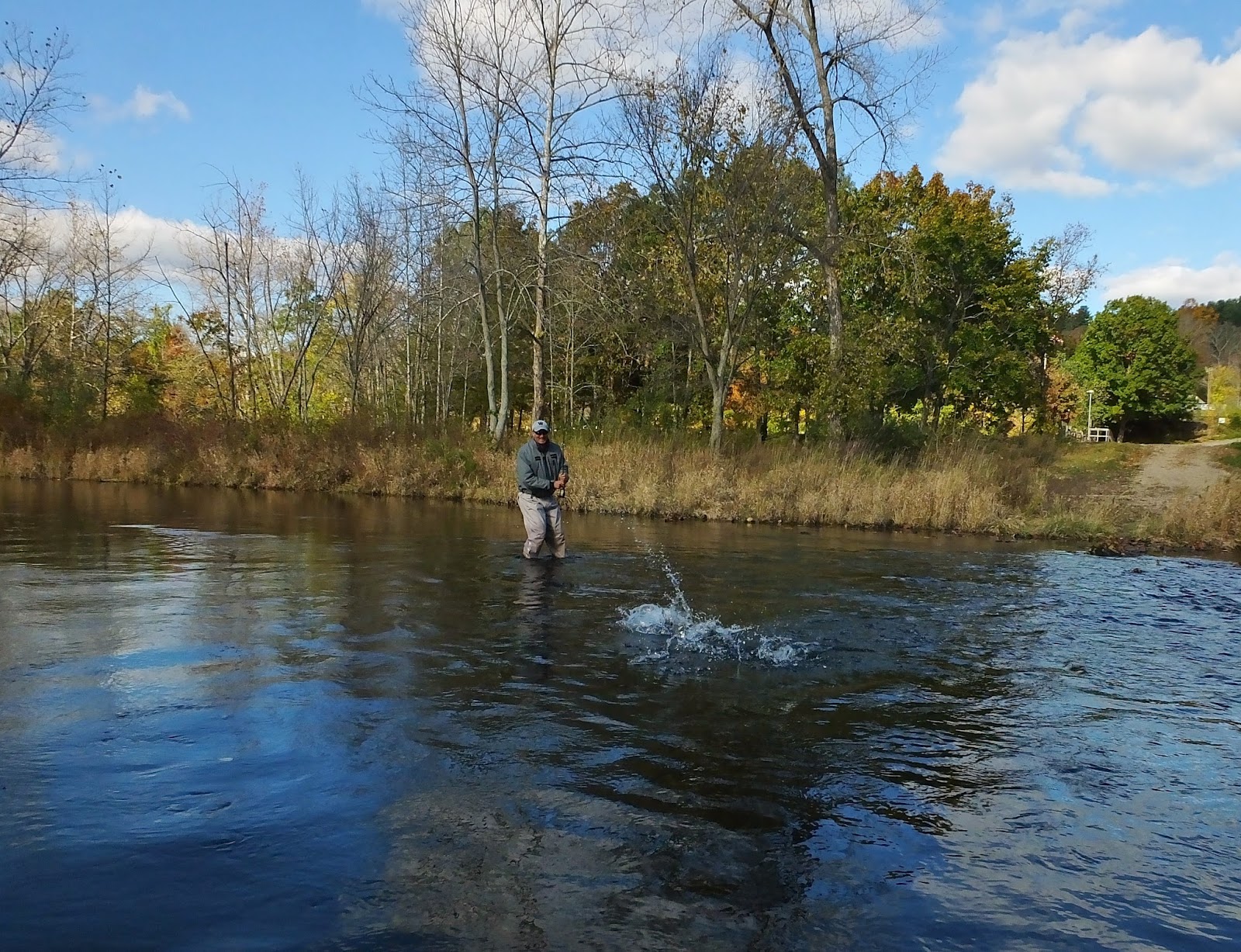 Connecticut Fly Angler: Atlantic Salmon Connecticut Style