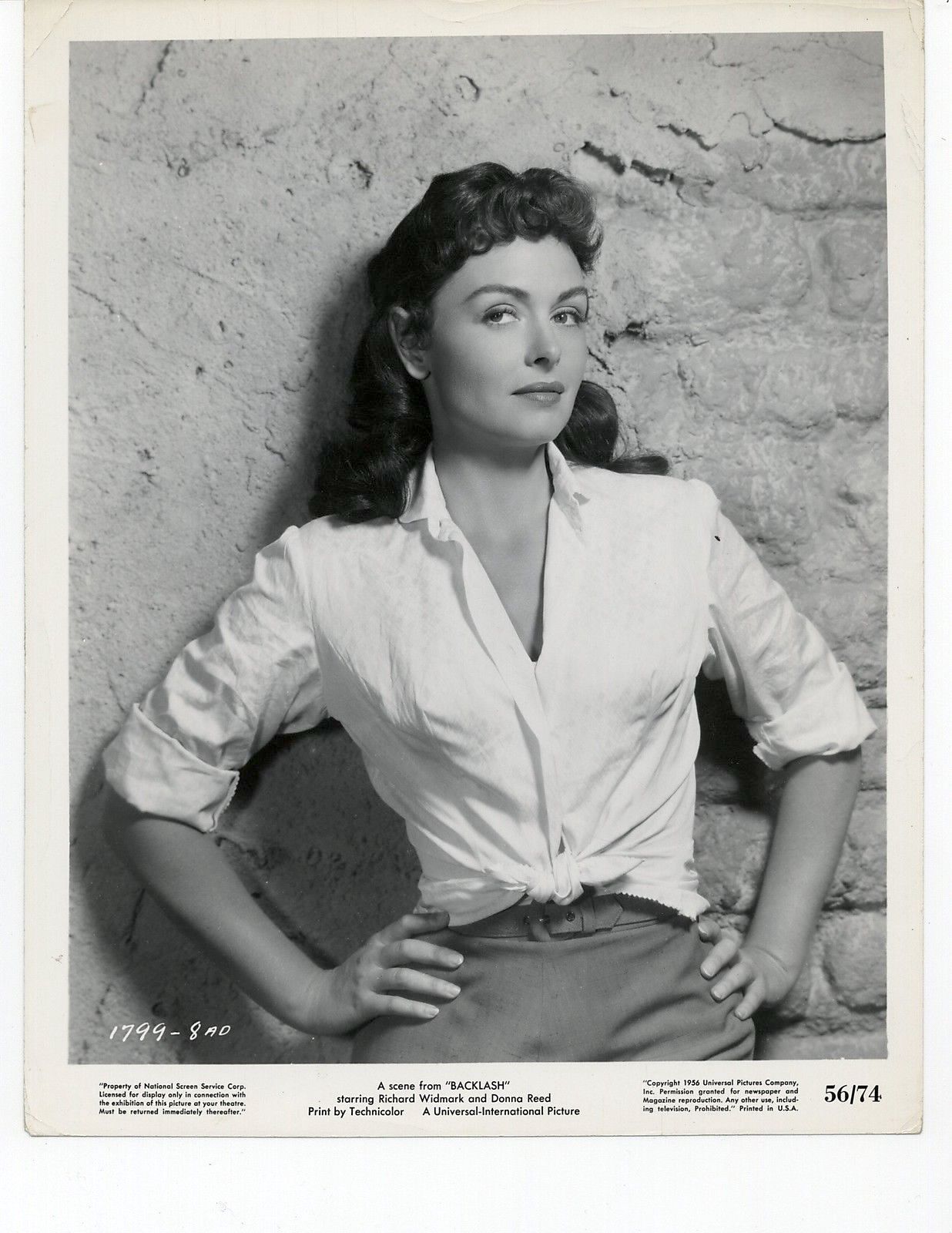 Pop Culture Safari!: Vintage Donna Reed pics