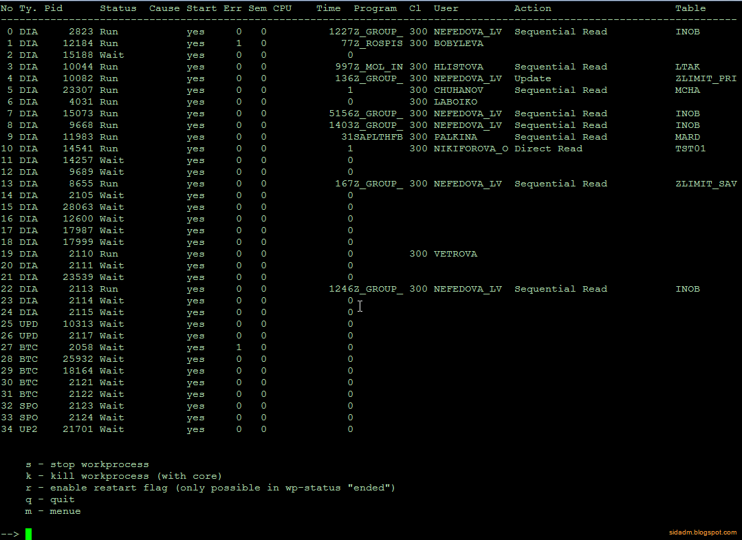 sidadm: Утилита DPMON