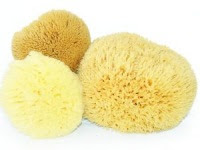 Greek Sponges ~ Cambridge Greek Corner