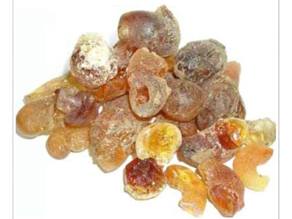 BUSINESS AFFAIRS: GUM ARABIC EXPORT OPPORTUNITY